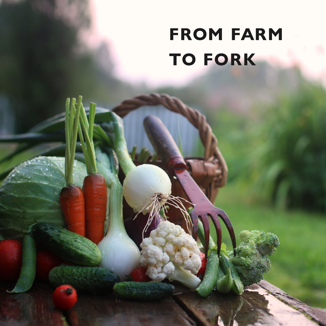 From Farm to Fork: Embracing the Farm-to-Table Movement in Restaurants ...